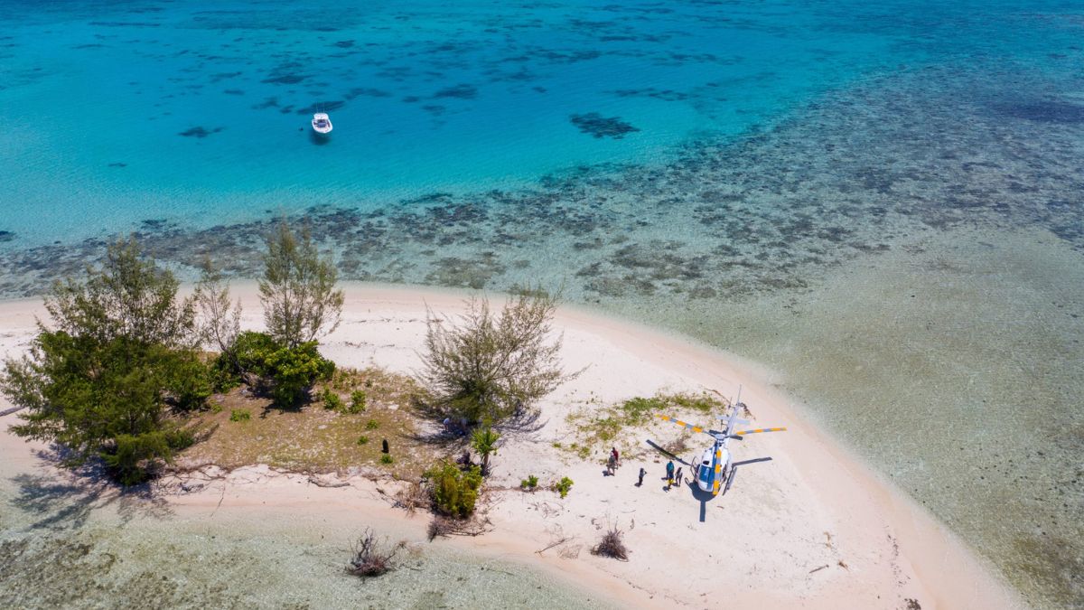 About | Pelorus Yachting